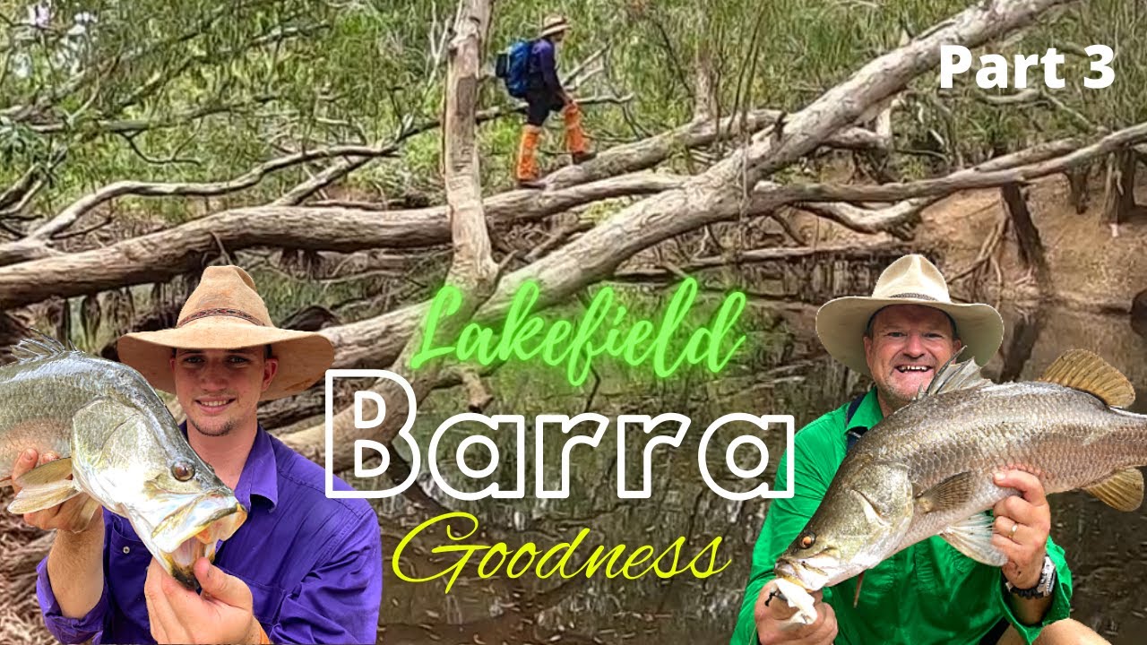 Lakefield Barra - Beyond the Narrows - YouTube