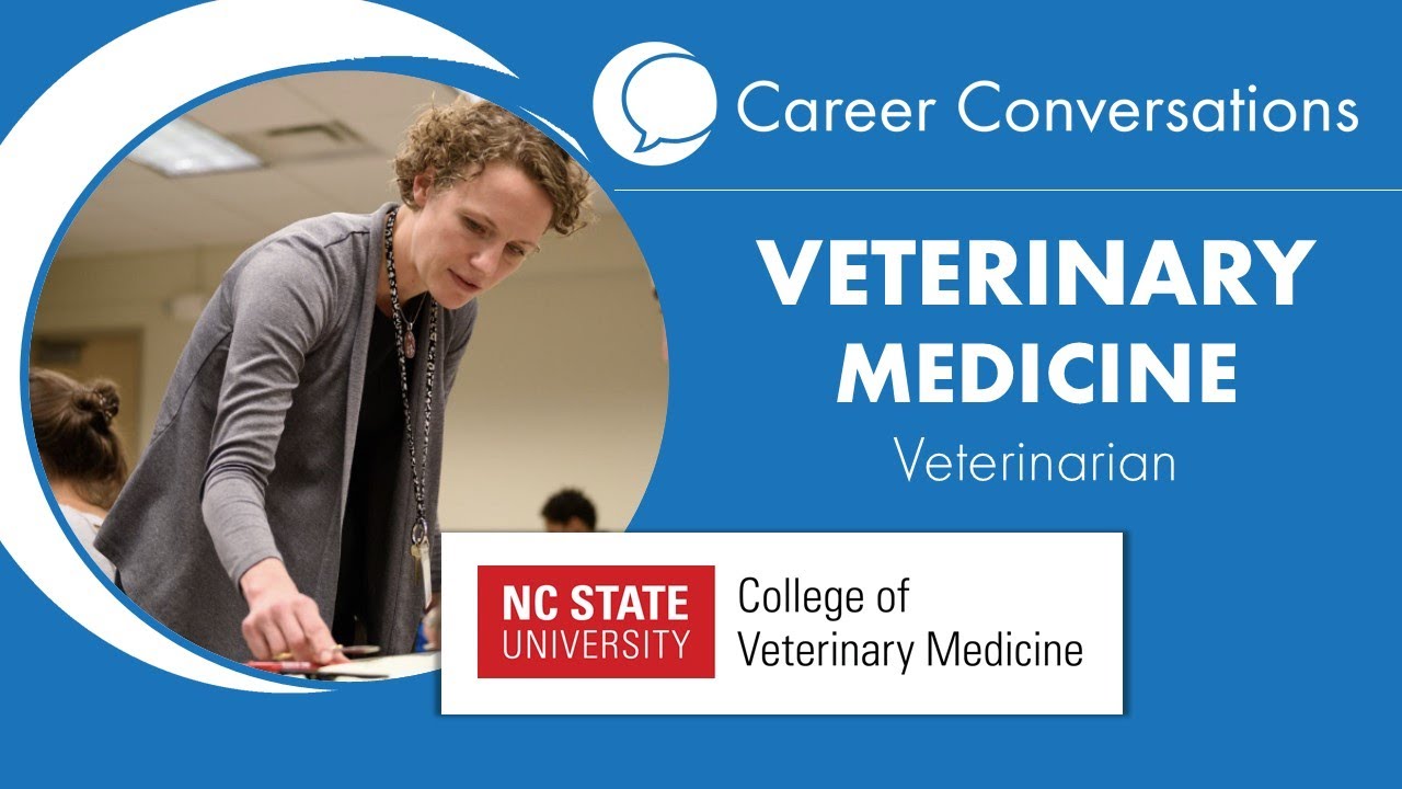 Veterinary Medicine at NC State University | Career Conversations - YouTube