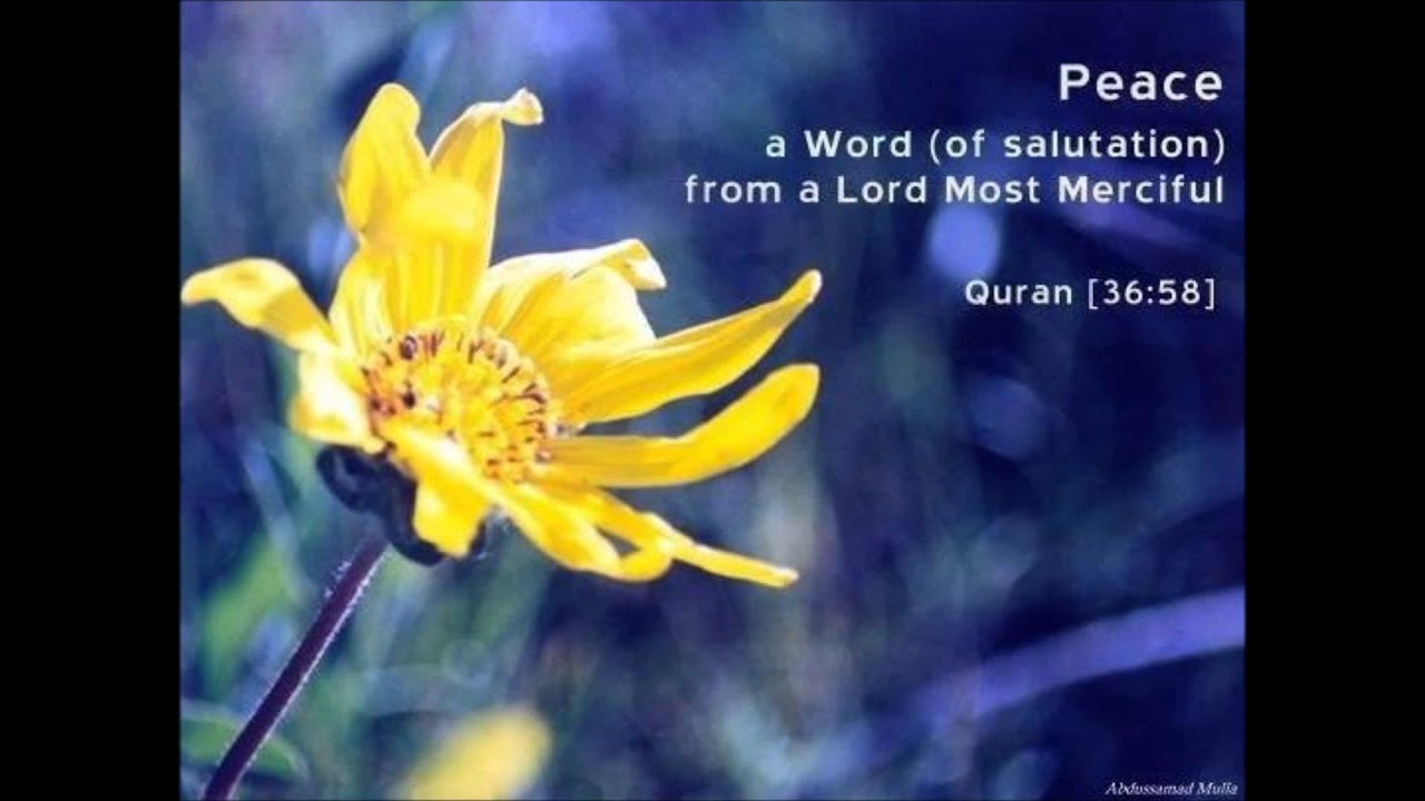 Hifzul Qura'an Recitation- Hafiz Fuzail Patel - YouTube
