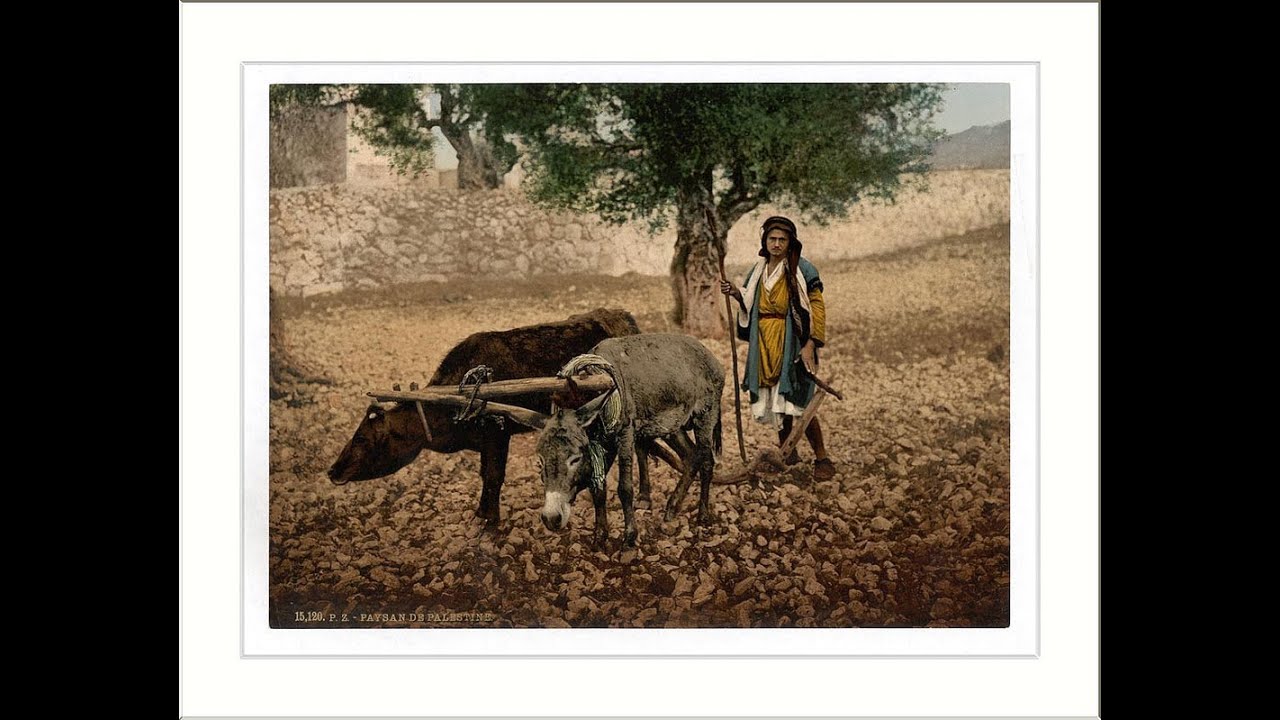 It is Hard for You to Kick Against the Goads. Guest Speaker: Matthew ...