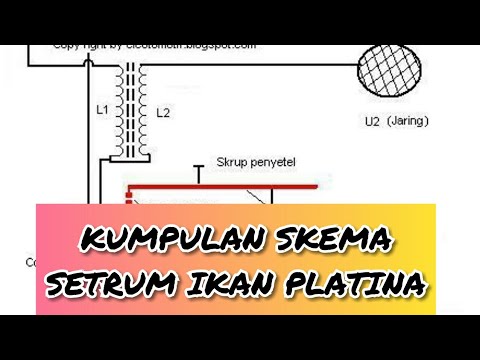 Stun Fish Shcematic KUMPULAN SKEMA SETRUM IKAN PLATINA - YouTube