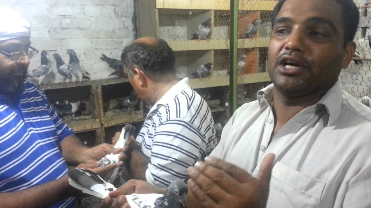 Ustad Arshad butt with tariq butt abahrini - YouTube