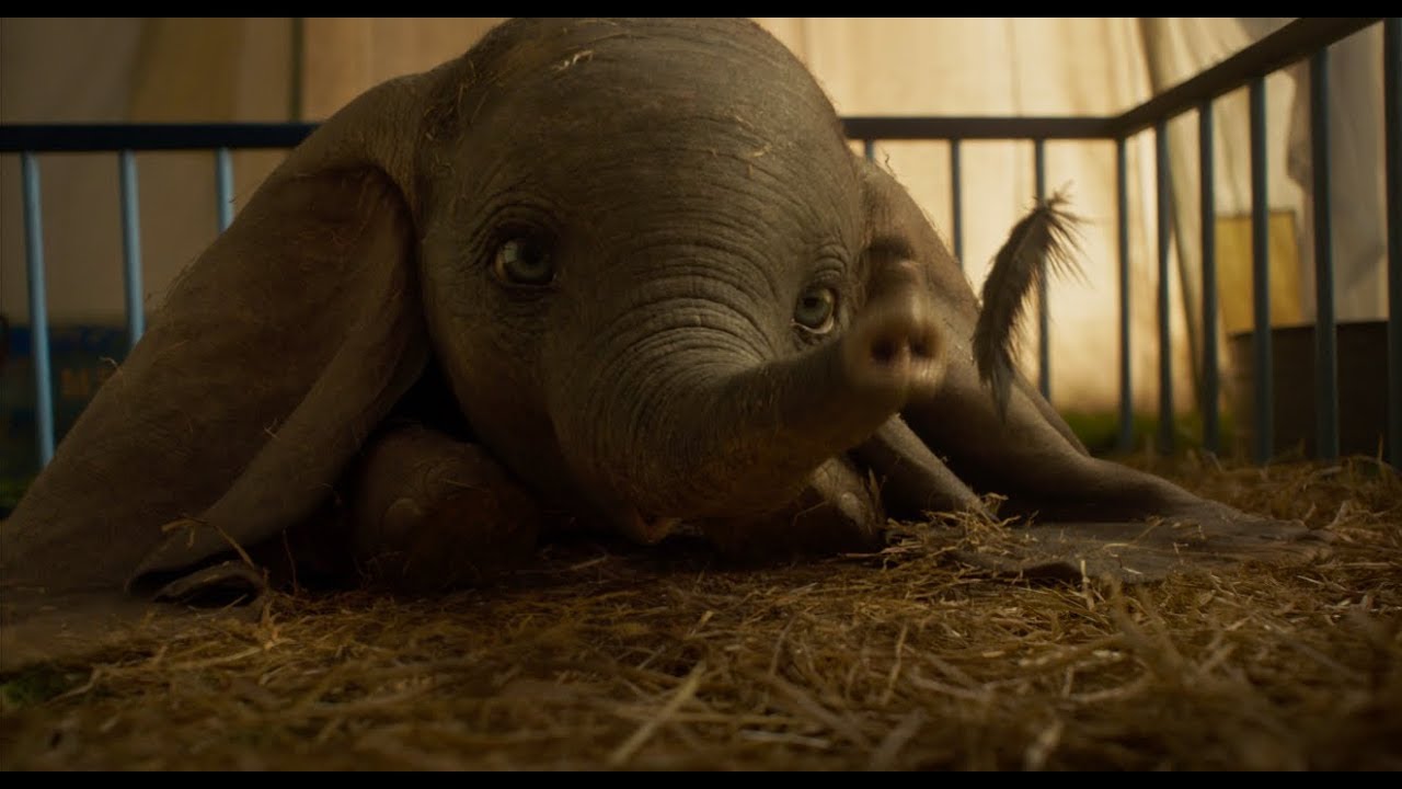 Disney's Dumbo: Chú Voi Biết Bay | Courage Trailer - YouTube