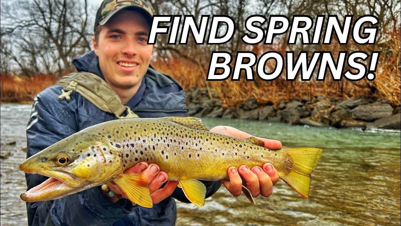 Early Spring Brown Trout! Gear & Tips for Success. - YouTube