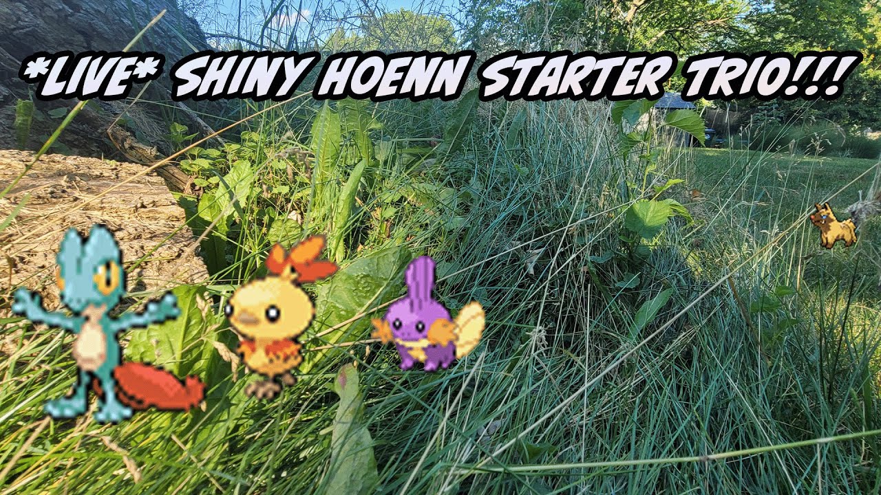 Live Shiny Hoenn Starter Trio After 24814 Total Resets Youtube