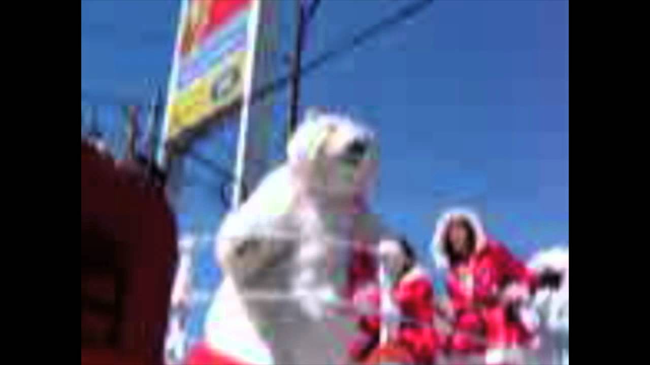 Galen Fott puppetry reel 1.0 - YouTube