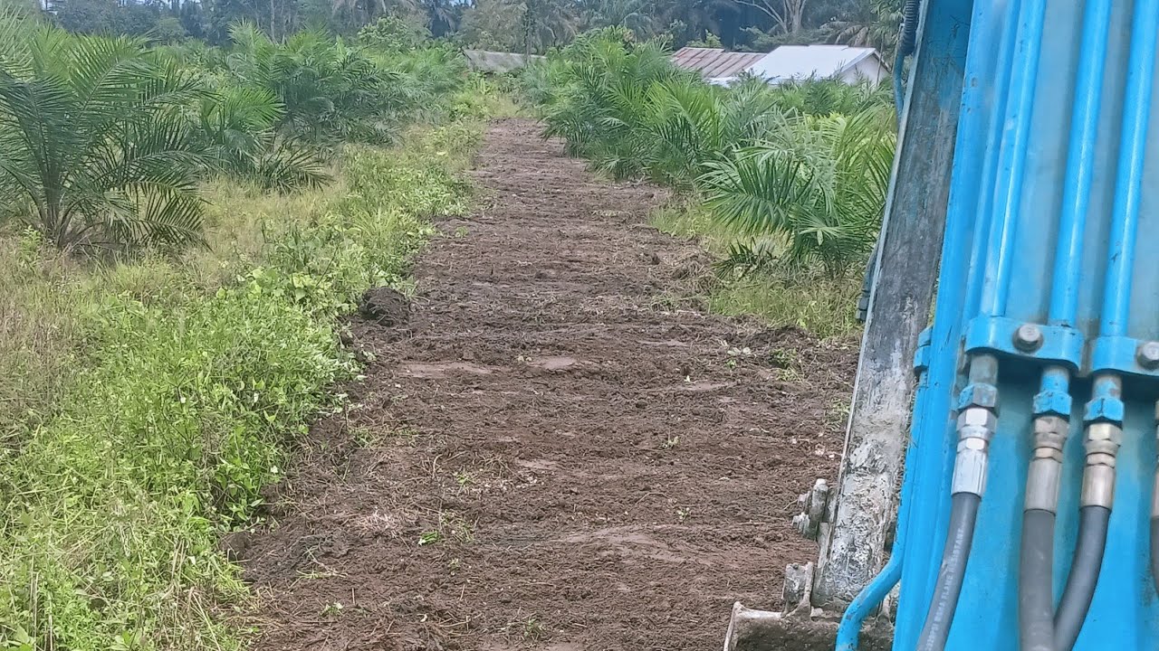 proses pembuatan pasar pikul rapi dan lurus ‼️‼️ - YouTube