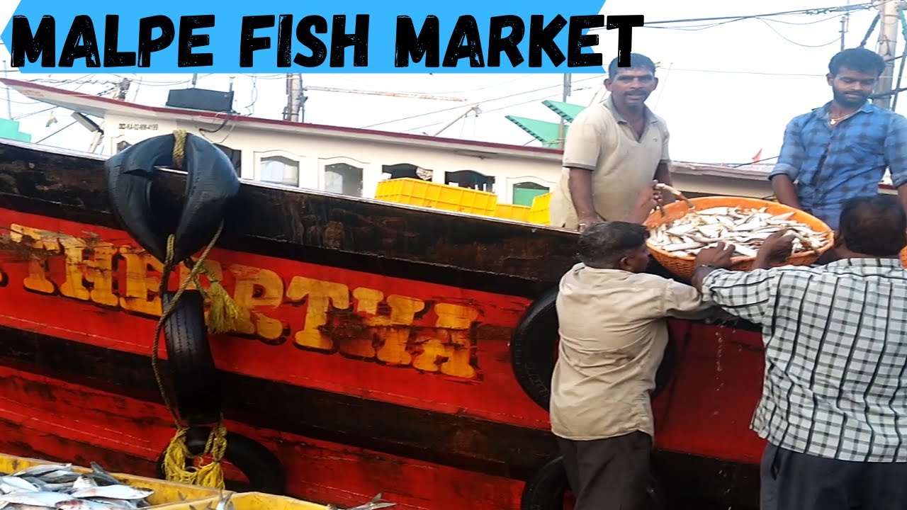 Malpe Fish Market *Fresh Fish for Fish Lover* | Karnataka | Udupi | RM ...
