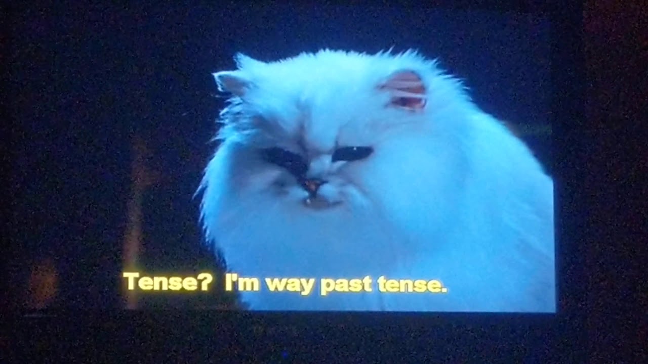 Stuart Little meet snowball - YouTube