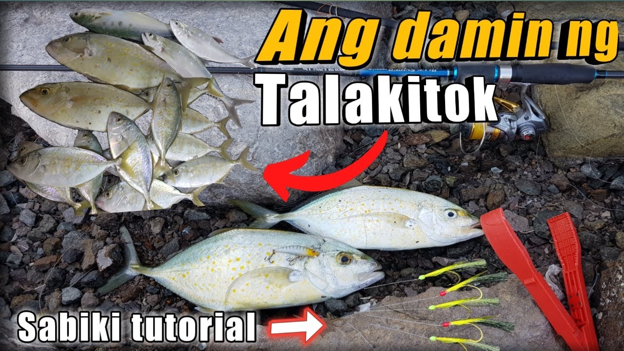 How to setup Sabiki fishing for Trevally 2022 | (Sabiki Tutorial) best ...