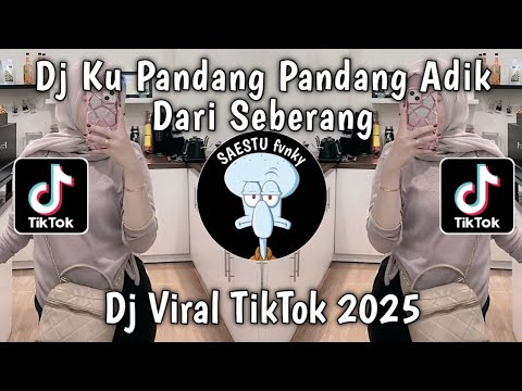 DJ KU PANDANG PANDANG ADIK DARI SEBERANG - DJ CINTA DARI SEBERANG VIRAL TIKTOK TERBARU 2025 !!