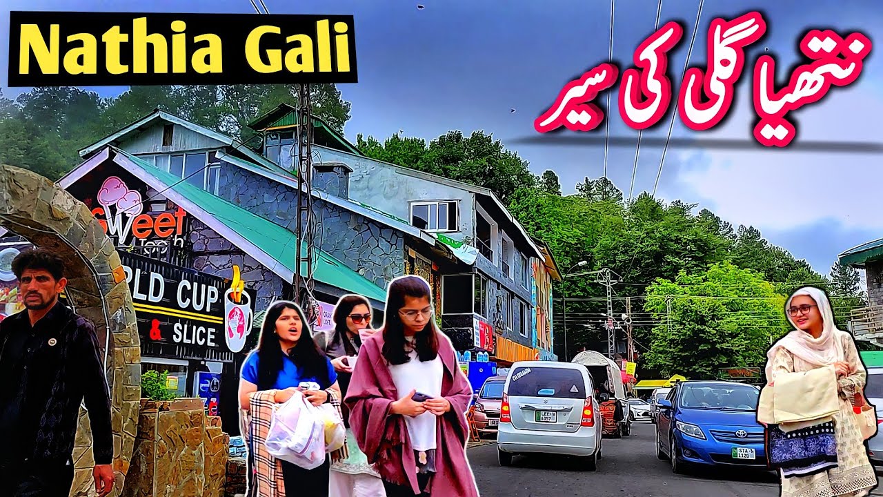 Murree to nathia gali | Beautiful Nathia Gali | Nathia Gali Pakistan ...