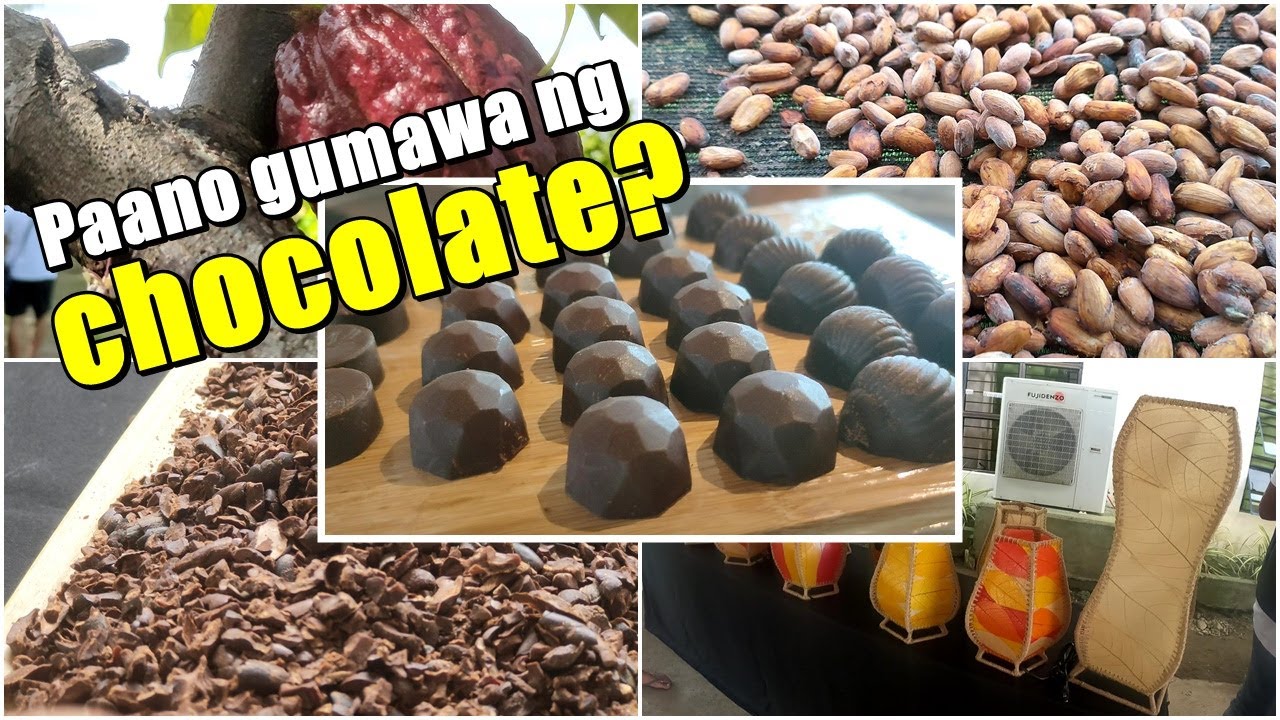 Cacao Farm Tour:Paano Gumawa ng Chocolate,Tablea,Hot Milk mula sa Cacao ...