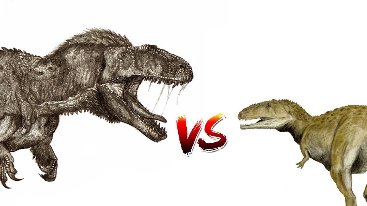 Tyrannotitan himself VS Mapusaurus discussion - YouTube