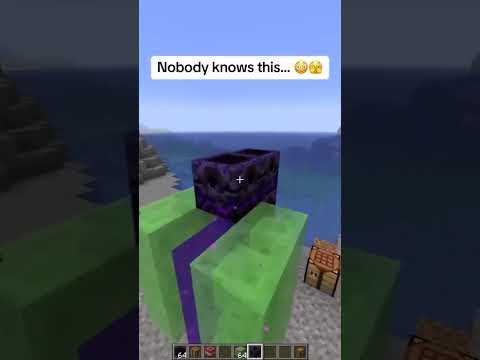 ANSANT PARRAL #minecraft #edit #memes - YouTube