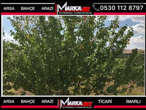 #marka #bey #satılık #malatya #video #444 #bahçe #hobi #yatırımlık #malatya #türkiye #