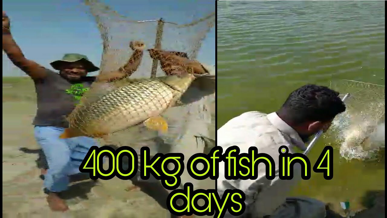 400 kg of fish in four days New update all Videos, 7/5/2021/ fishing ...