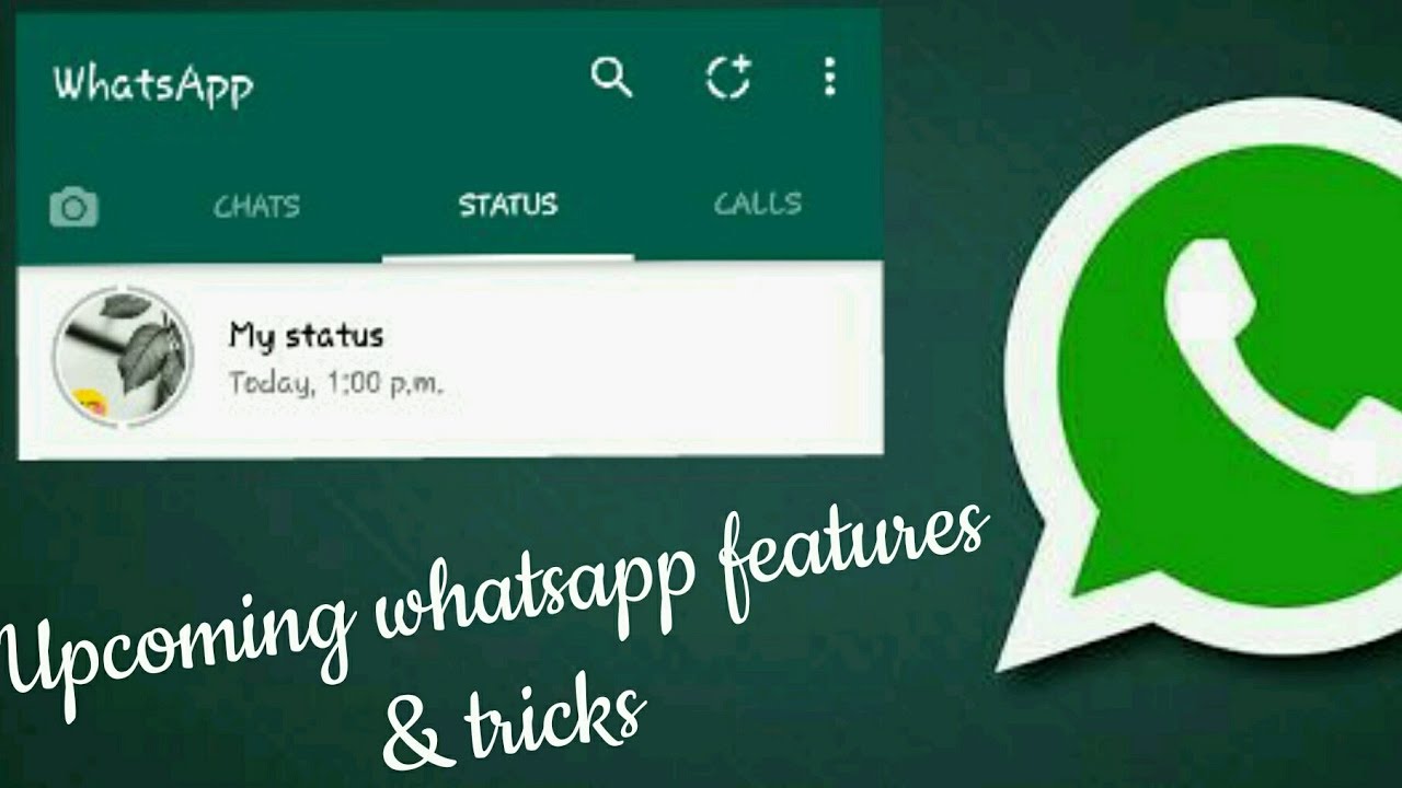 5 whatsapp new features and tricks - new status bar and more - YouTube