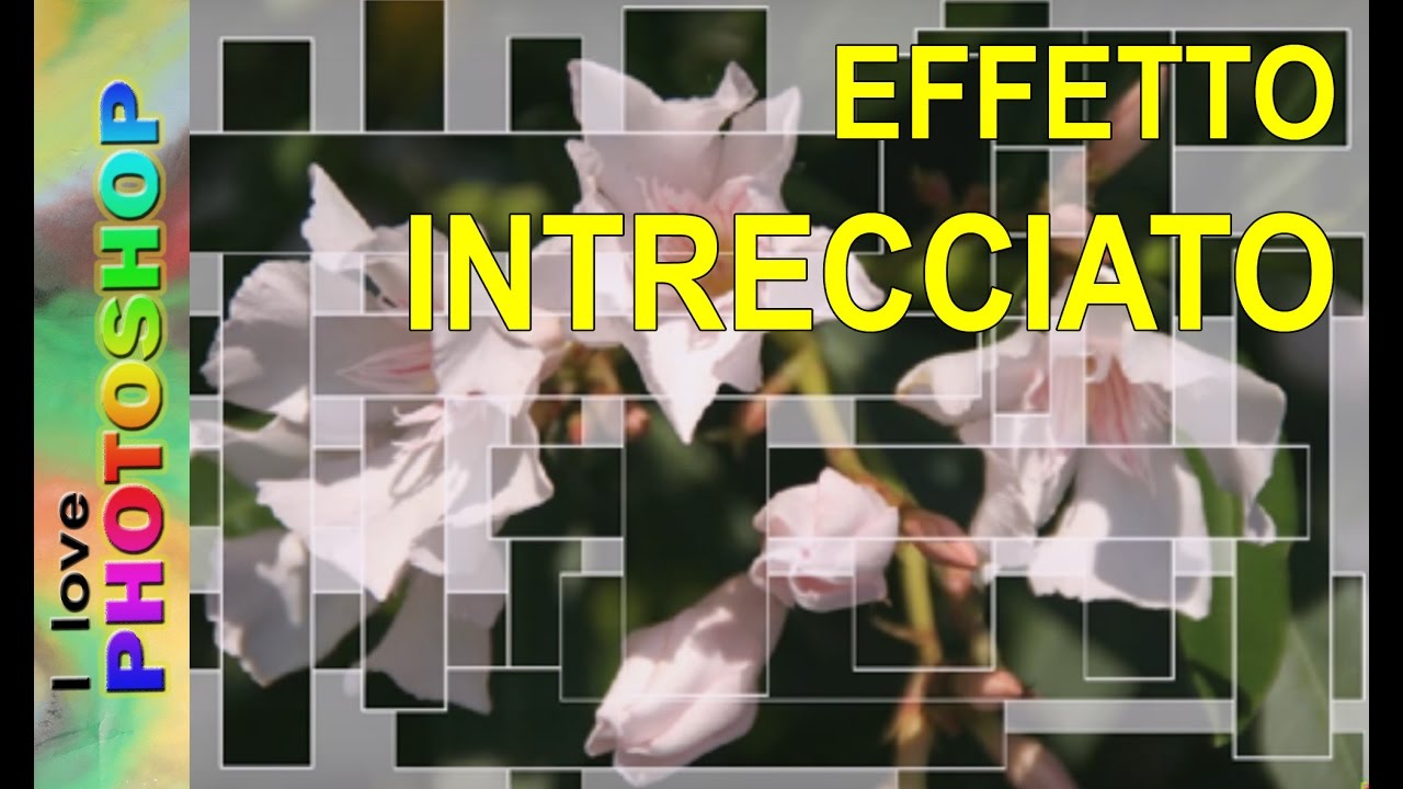 Photoshop tutorial italiano - Photshop effetto foto intrecciata ...