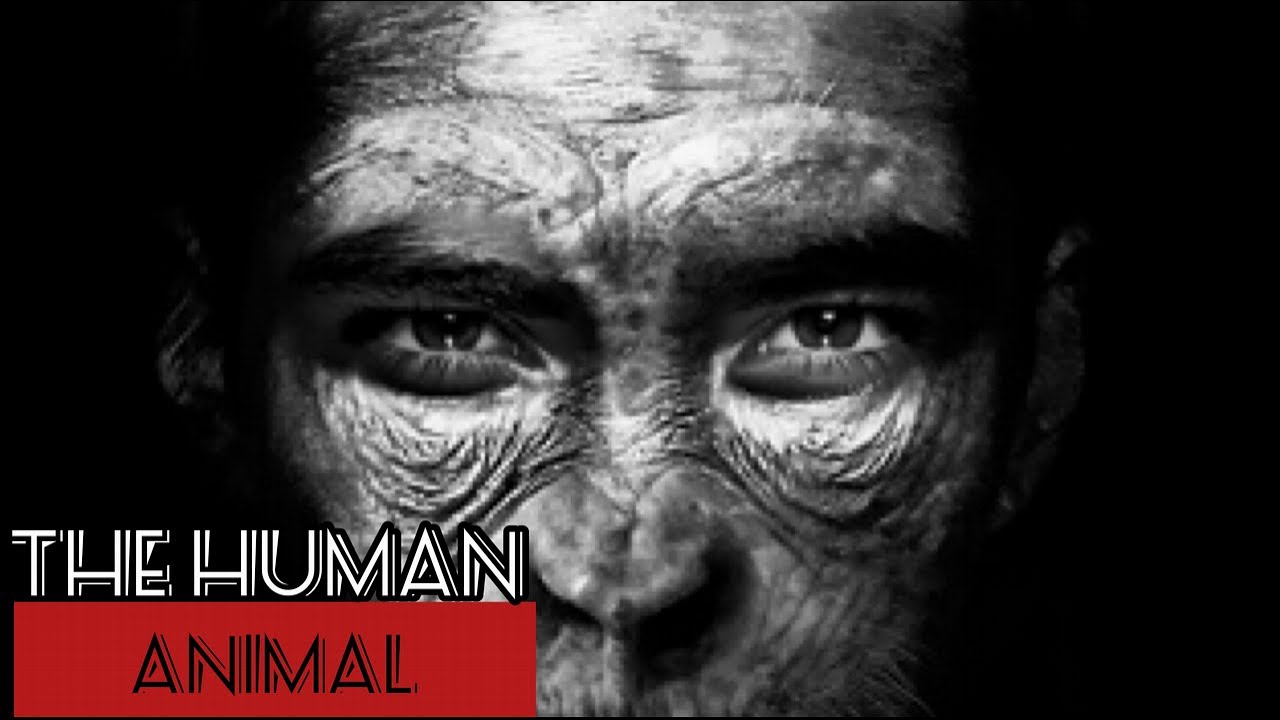 THE HUMAN ANIMAL : Spirit Prison And The Quest For Freedom - YouTube
