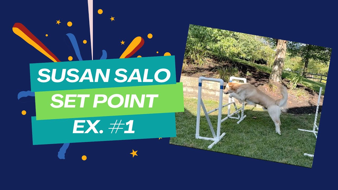 Learning to Jump for Agility with the Susan Salo Foundation Jumping DVD. Set Point Exercise #1 ...