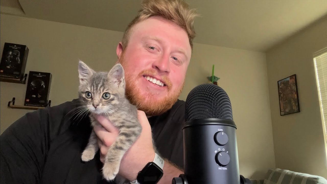 ASMR Fast and Aggressive Hand Sounds & Rambles (With Kitty) - YouTube