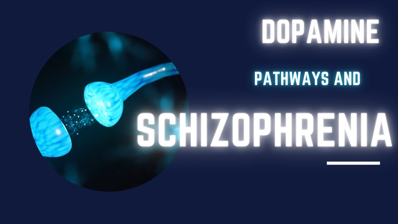 Dopamine Pathways and Schizophrenia - YouTube