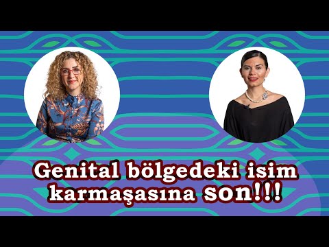 Genital bölgedeki isim karmaşasına son!!! Aslında ne neresi??