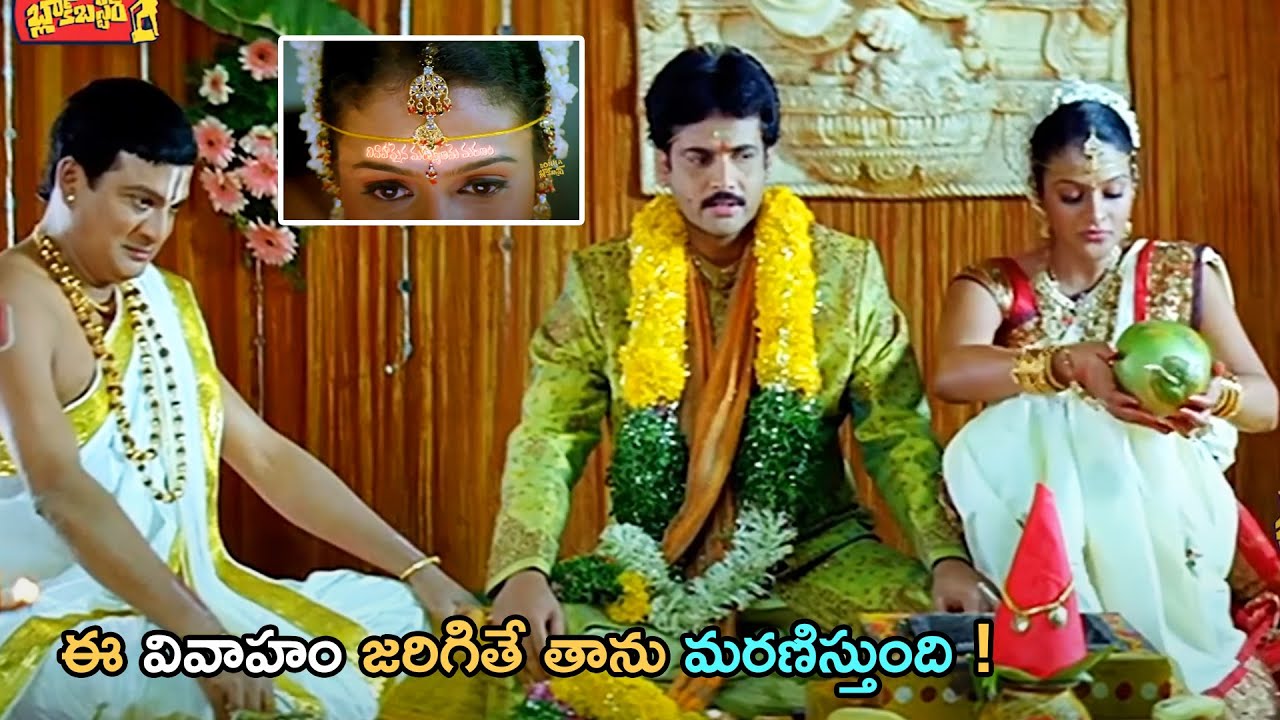 Sivaji And Rajendra Prasad Telugu Movie Interesting Scene || Bomma ...
