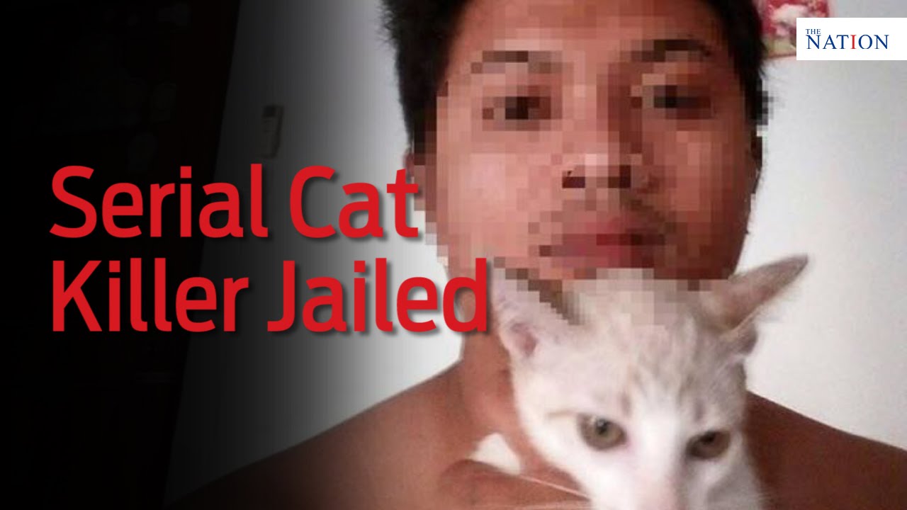 Serial Cat Killer Jailed - YouTube