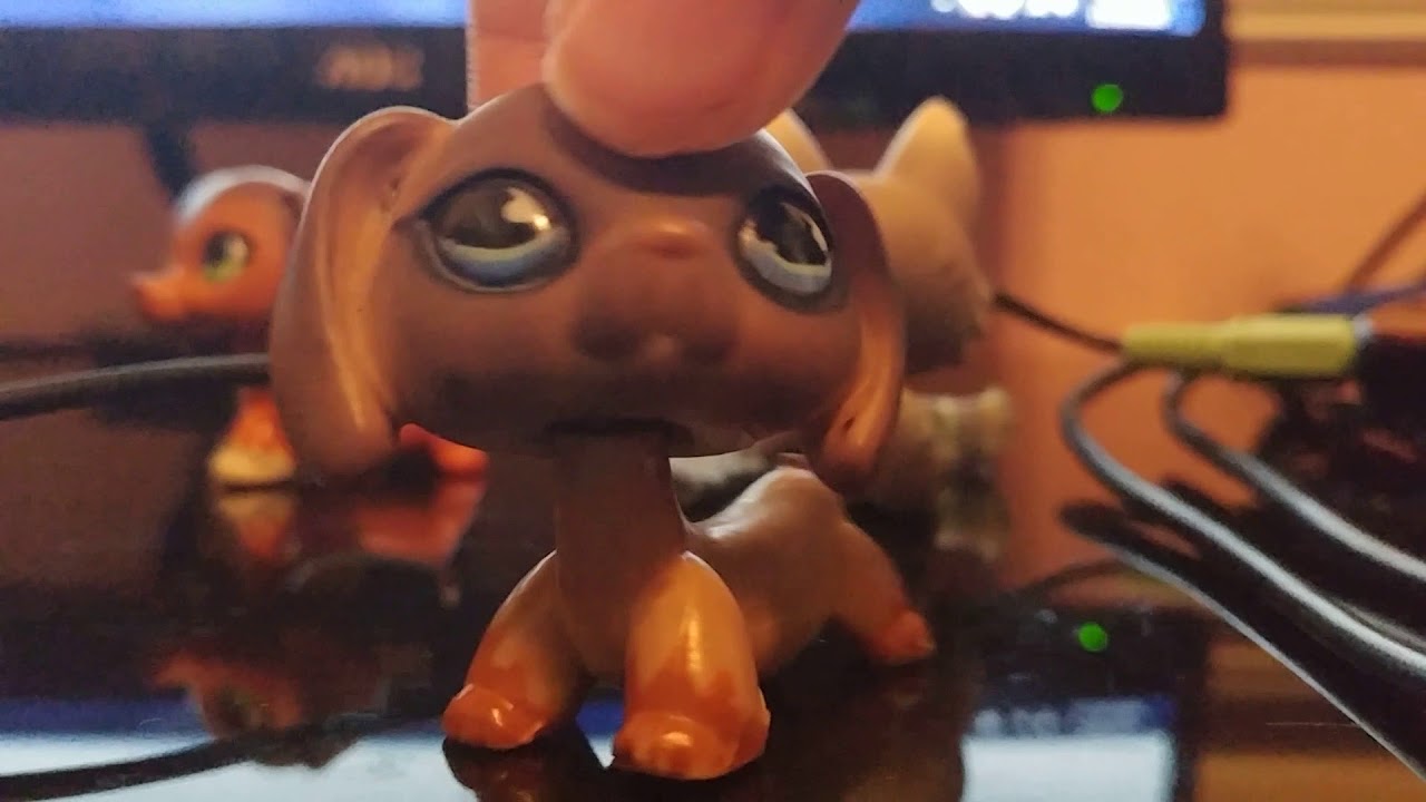 Lps sage and Lauren update - YouTube