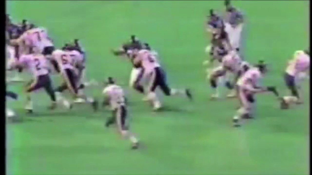 Neal Anderson Chicago Bears Highlights - YouTube