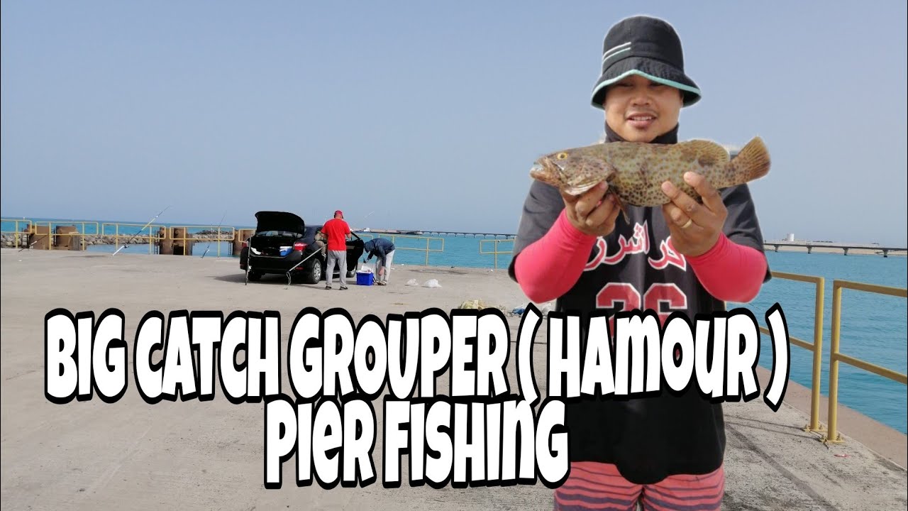 Pier Fishing Al Zour Kuwait Catch GROUPER ( Hamour ) and other kind of ...