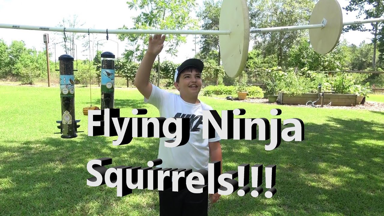 Squirrel Ninja Rope Course! Bird Feeders SAFE at last!! - YouTube