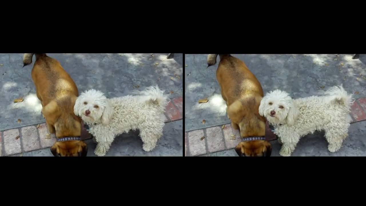 VirtualDub DeShaker - Previous & Future Frames Option - YouTube