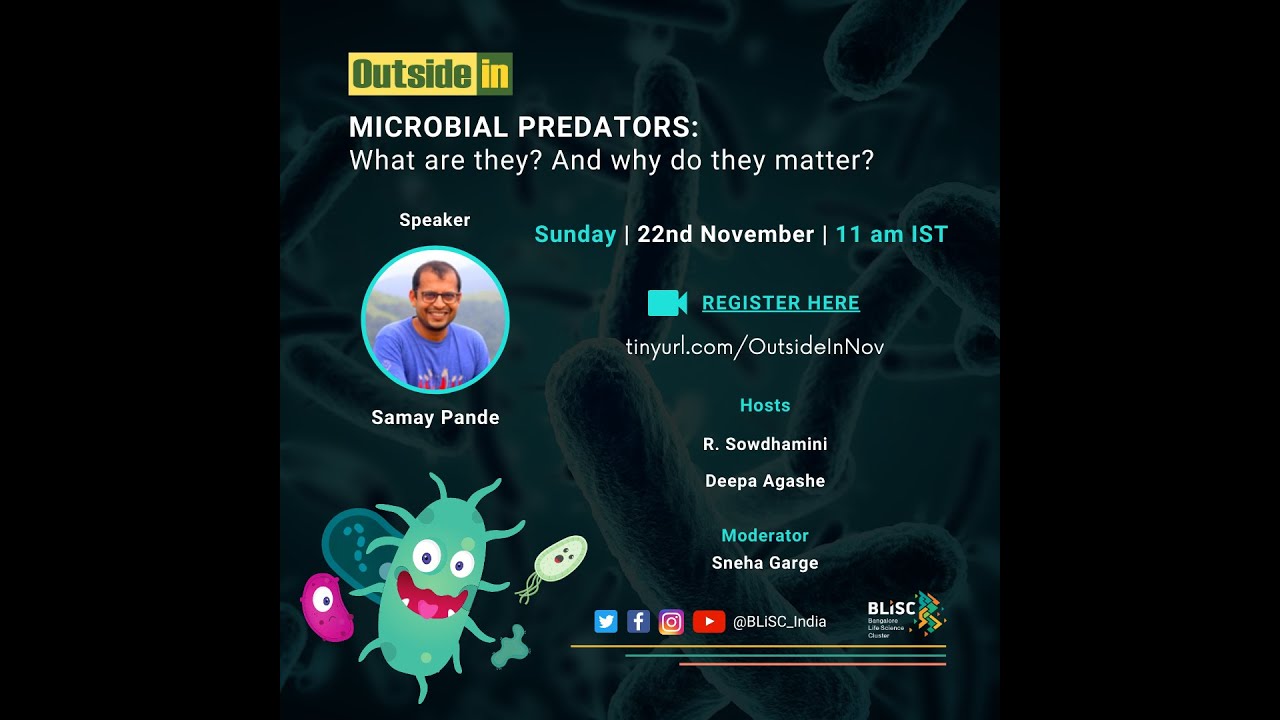 OutsideIn | Microbial predators: What are they? And why do they matter ...
