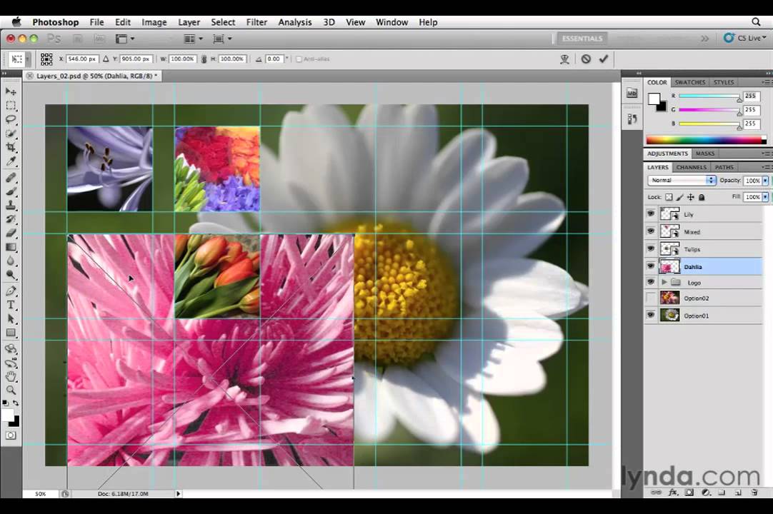 Adobe Photoshop CS5 Tutorial - Transform - CH 11 - lesson 13 of 13 ...