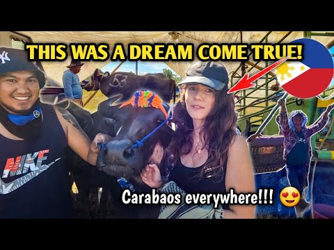 ATTENDING CARABAO FESTIVAL IN PHILIPPINES PROVINCE! Overwhelmed by ...