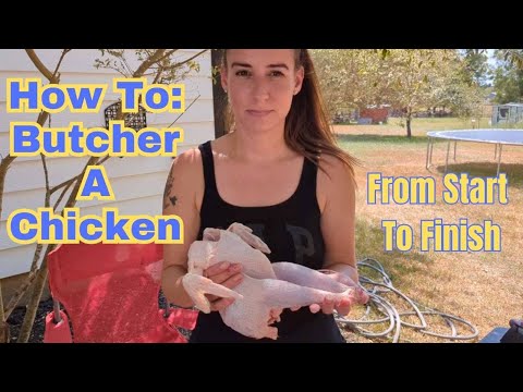 From Farm to Table: How To Butcher a Chicken