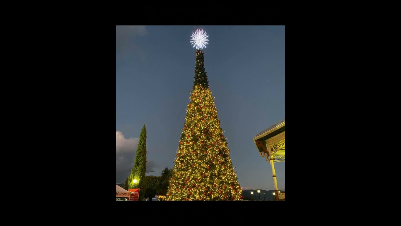 algo navideño se hacerca con cheems - YouTube