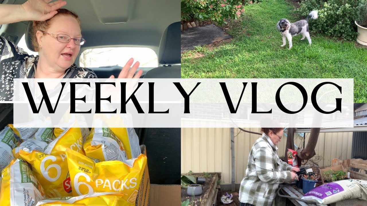 Weekly Vlog / Mini Updates / Frugal Living - YouTube