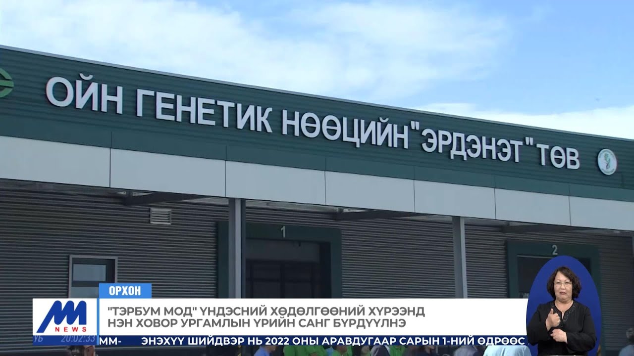 “Эрдэнэт үйлдвэр” Ойн генетик нөөцийн төвийг ашиглалтад орууллаа Mnb Youtube
