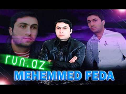 Mehemmed Feda Naxcivanim 2014