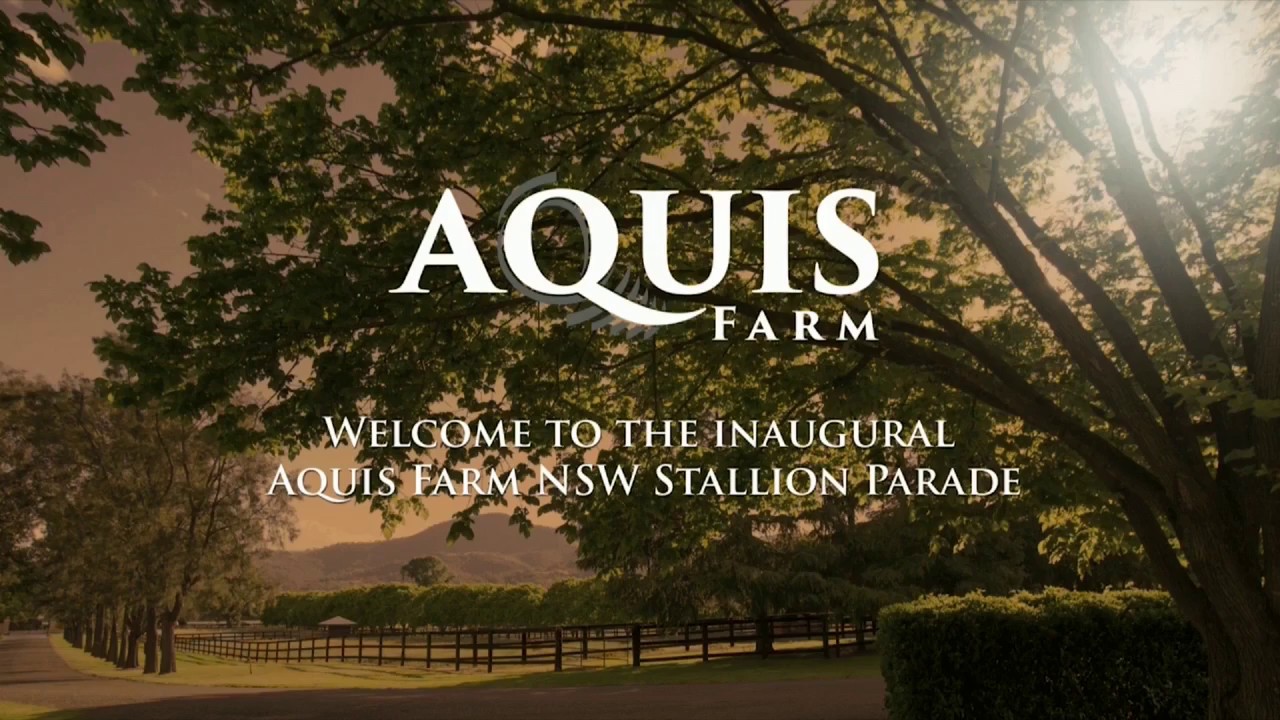 Aquis Farm NSW - 2017 Stallion Parade - YouTube