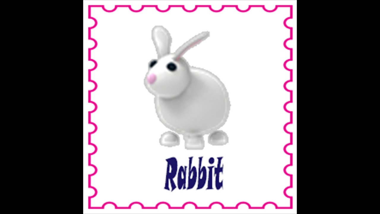 Rabbit | Roblox | Adopt Me | RARE PETS | #roblox | How many Rare Pets ...