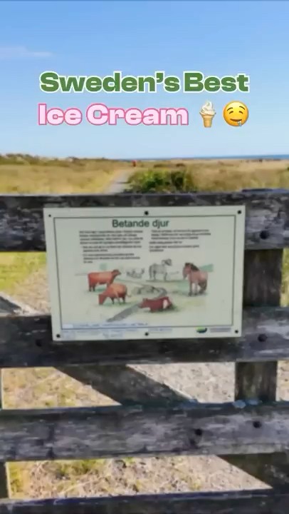 Swedish Ice Cream: More Than Just a Summer Snack - YouTube
