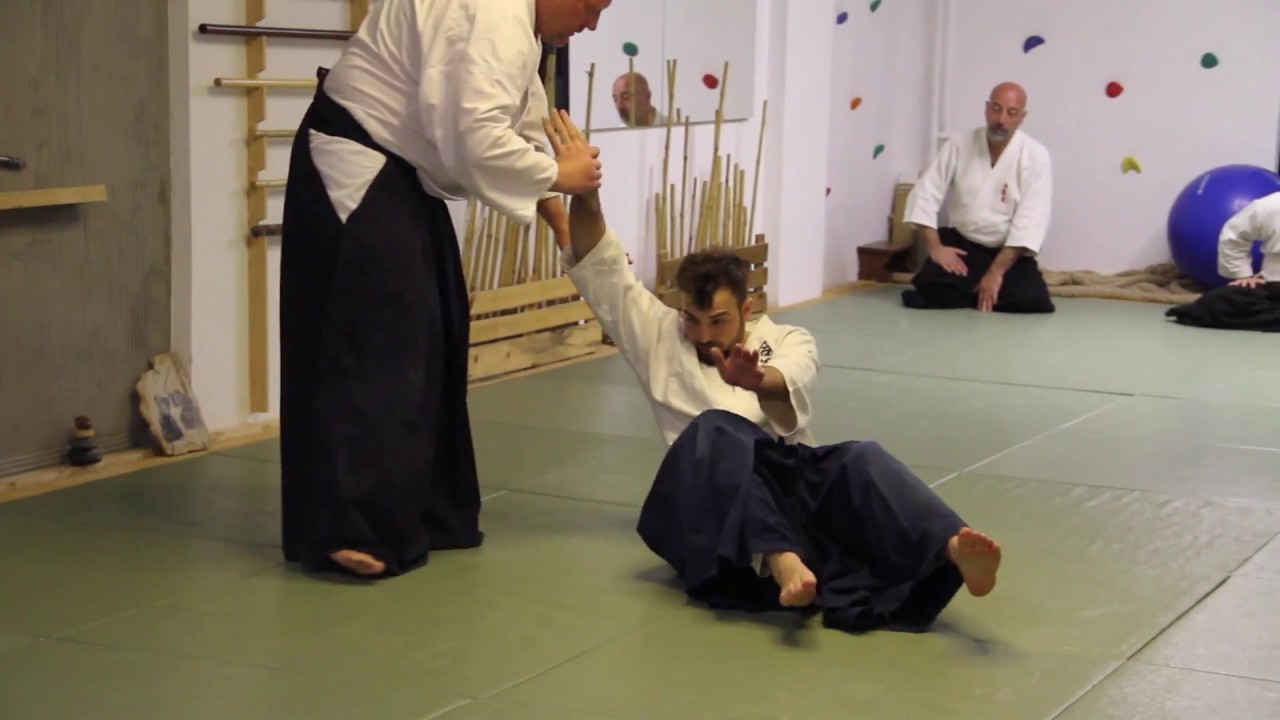 Luc Vermeulen(6. Dan) -Sever Cengiz(5. Dan) Aikido Seminar - YouTube