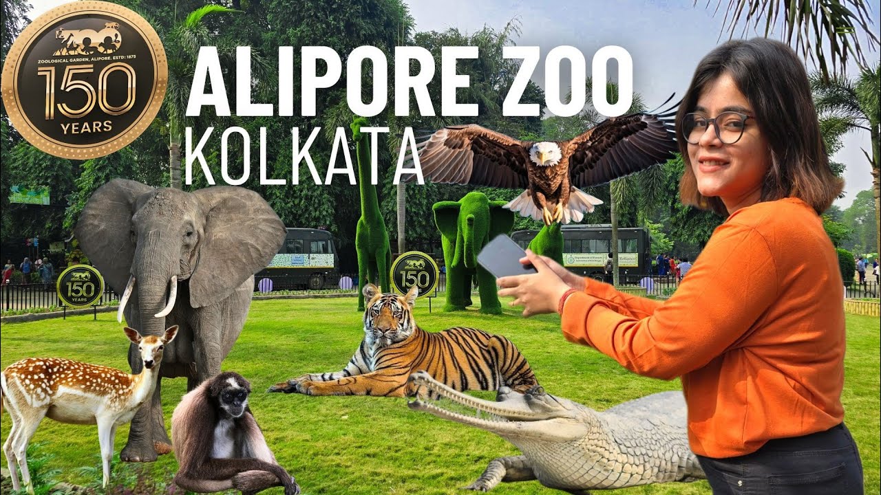 New Attractions at Alipore Zoo 2025😍|| আলিপুর চিড়িয়াখানা 2025 ...