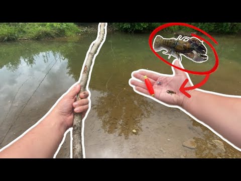 Using a STICK to Catch Fish out of The Creek!! - YouTube