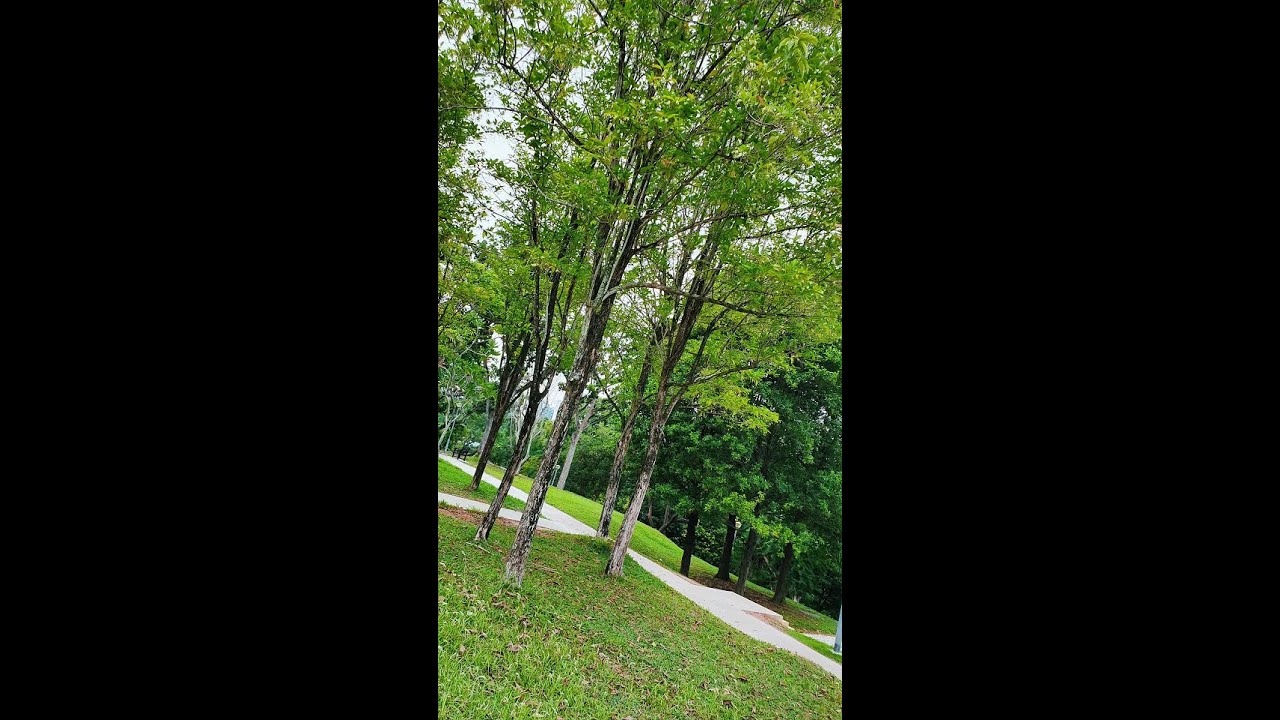MOUNT EMILY PARK, SINGAPORE - YouTube